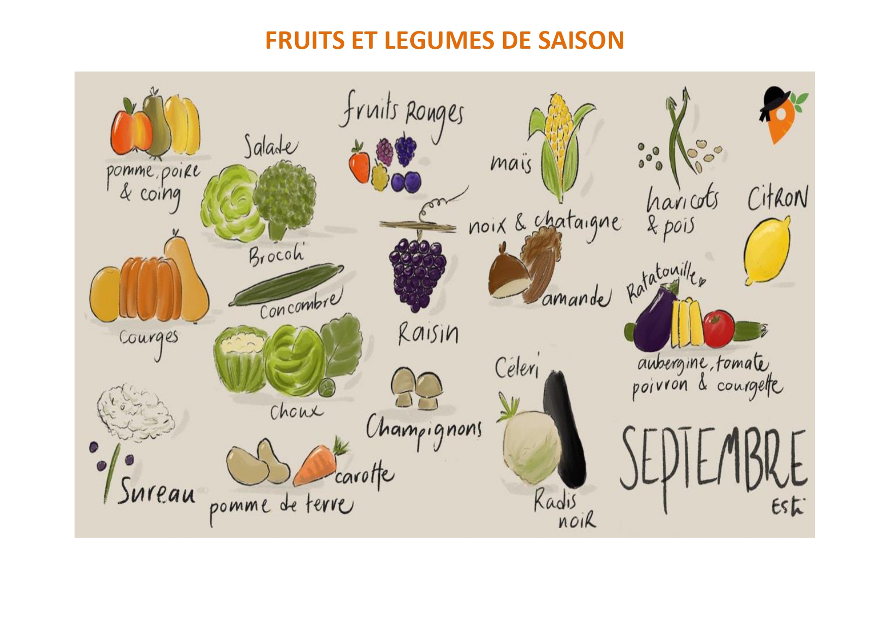 Les fruits et légumes du mois de septembre! – Collège Gilbert Chabroux