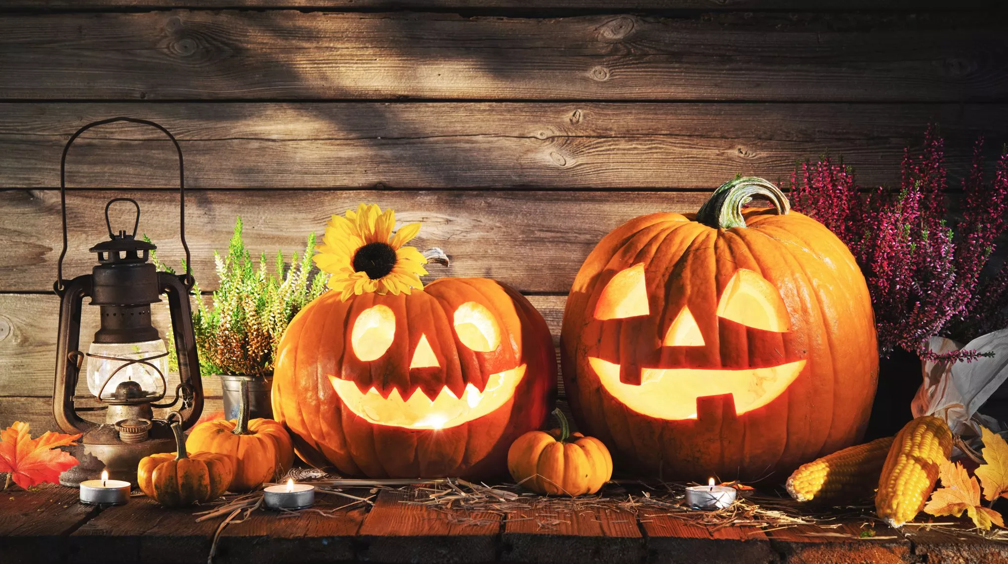 Halloween au collège! – Collège Gilbert Chabroux